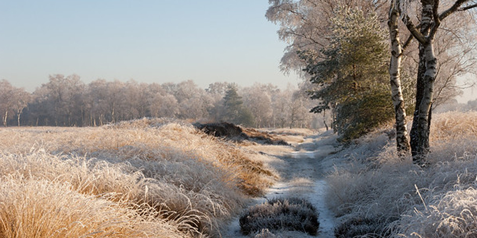 Unwind and Relax | Hotel Mansion Roode Koper